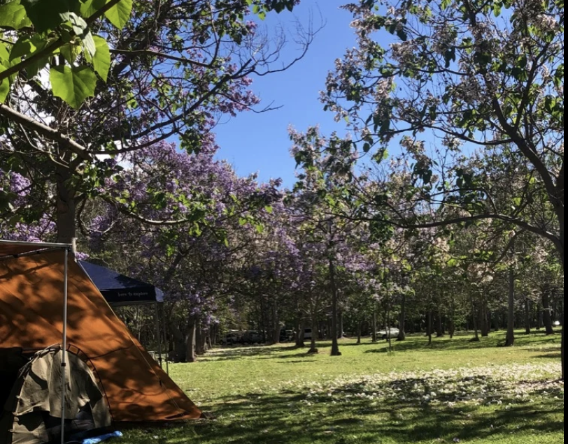Site 2 – River Bank Bush Camp – Riverside King Valley