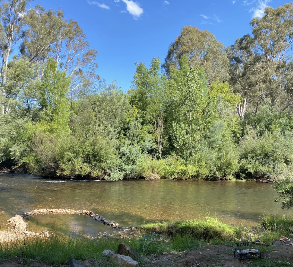 Site 2 - River Bank Bush Camp - Riverside King Valley